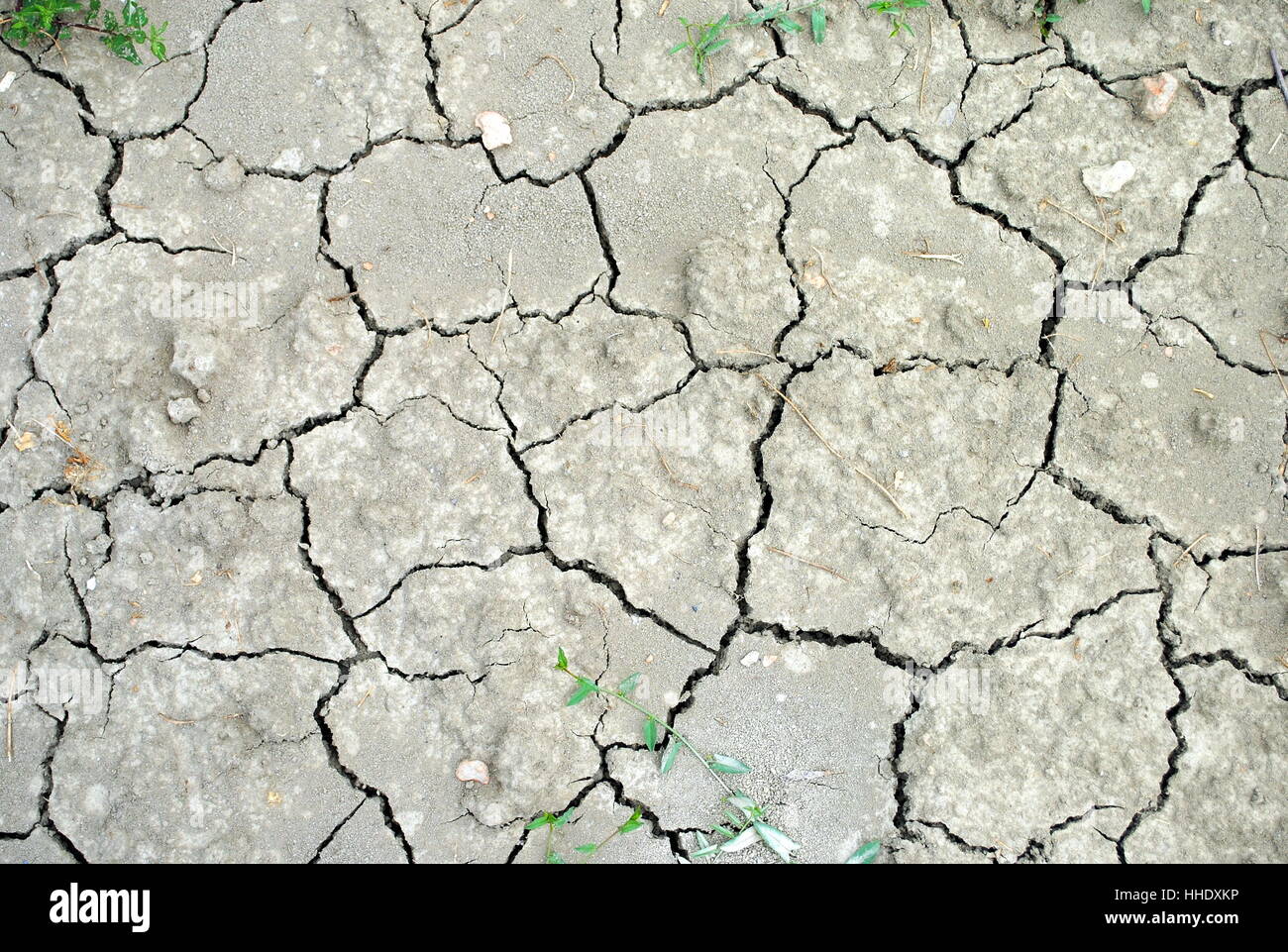 environment, enviroment, ground, soil, earth, humus, agriculture ...
