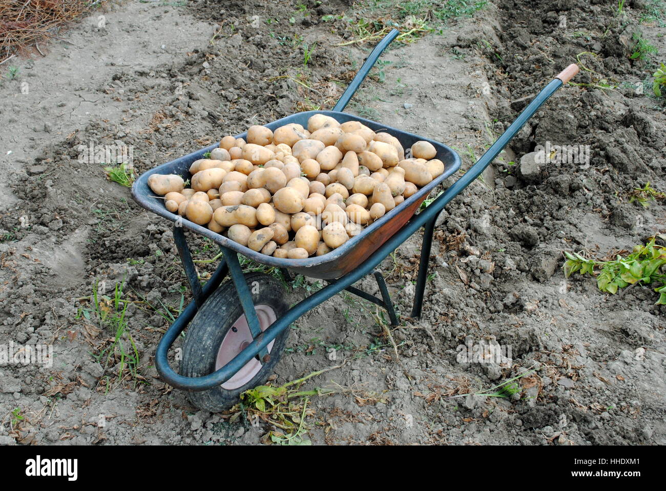 pick, tool, garden, wheel, ground, soil, earth, humus, agriculture ...