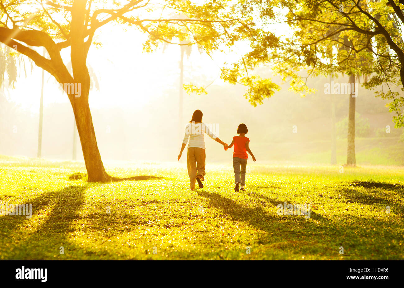 woman, humans, human beings, people, folk, persons, human, human being ...