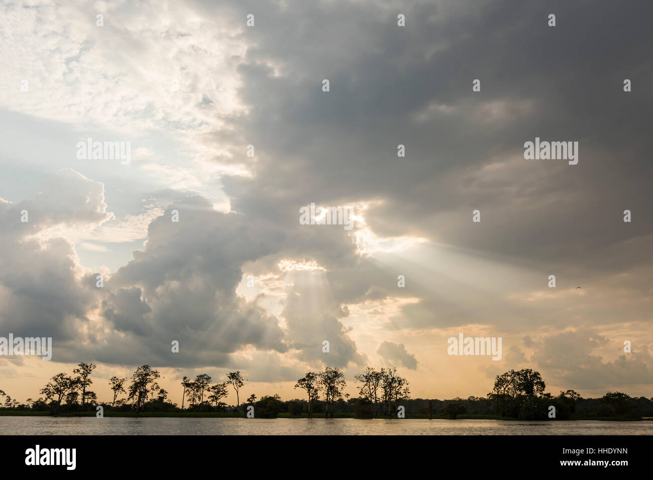 Amazon river basin hi-res stock photography and images - Alamy