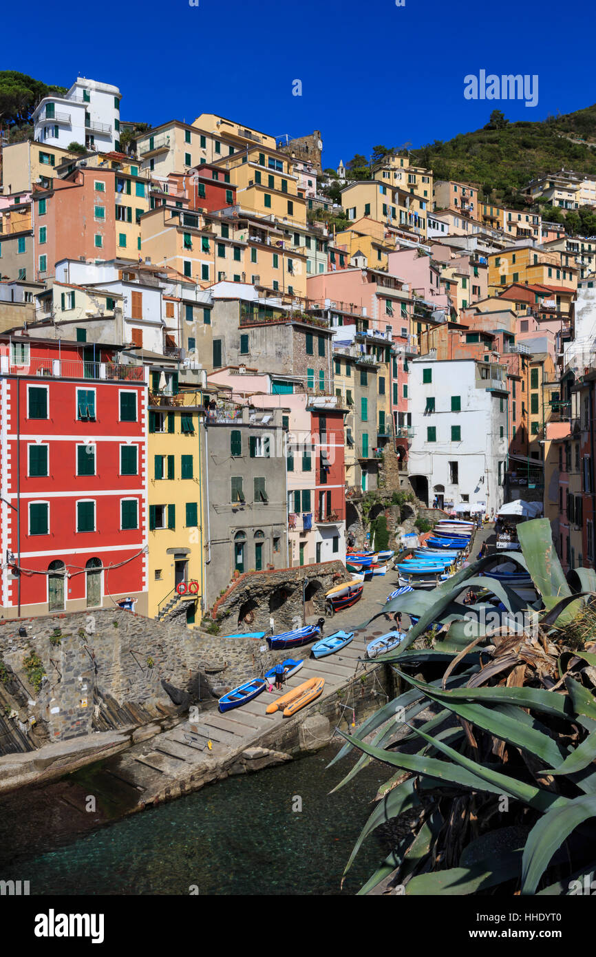 Tiny harbour and medieval houses in steep ravine, Riomaggiore, Cinque ...