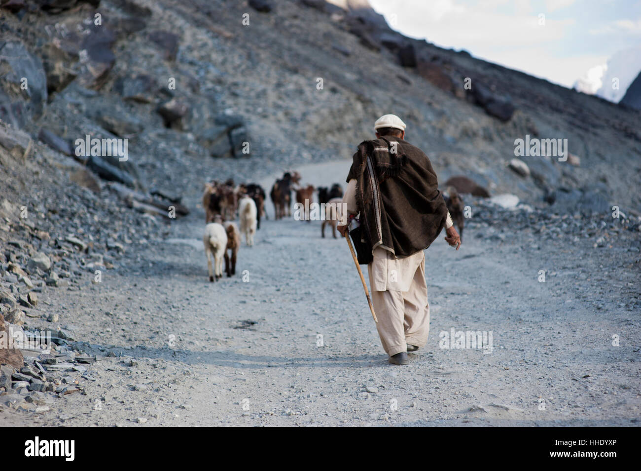 A shepherd near Gilgit, Pakistan Stock Photo - Alamy