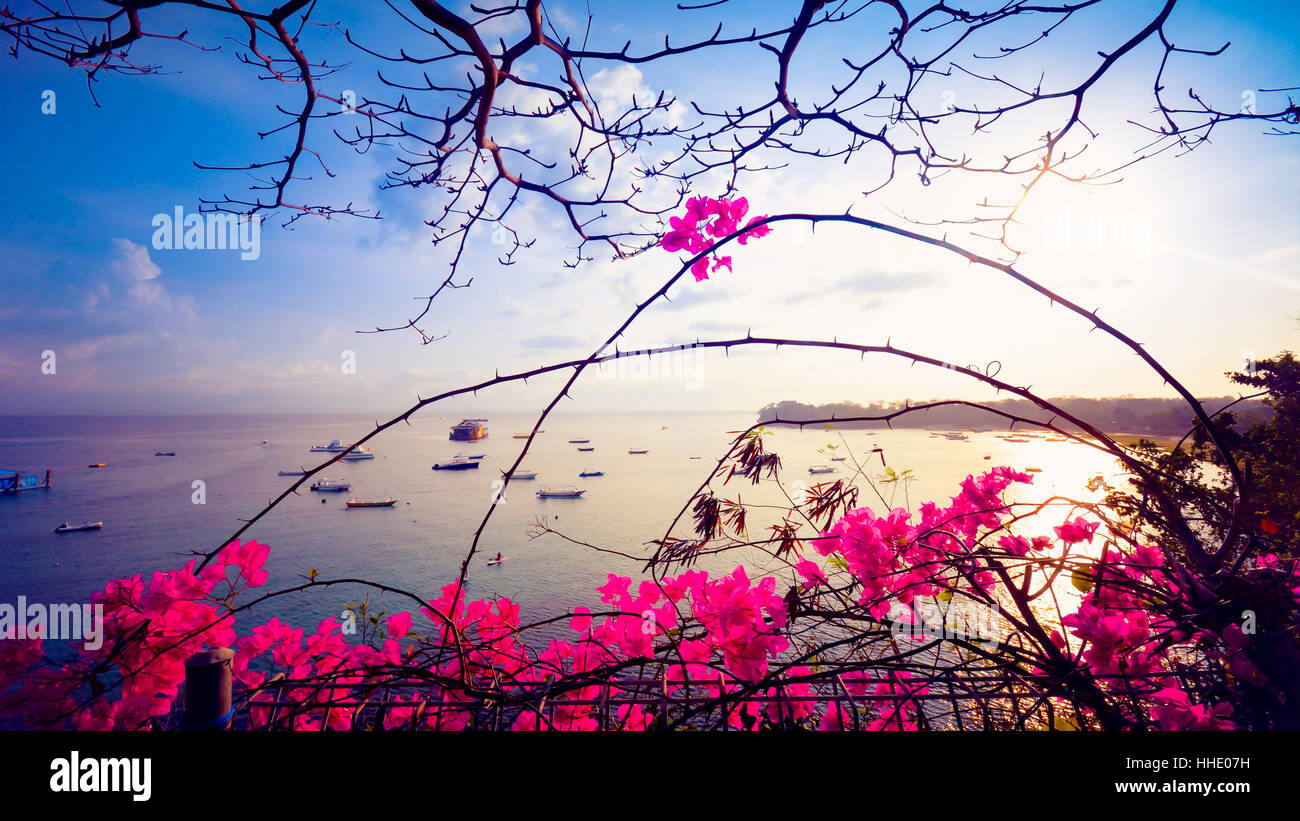 Ocean view and beautiful flowers Stock Photo - Alamy