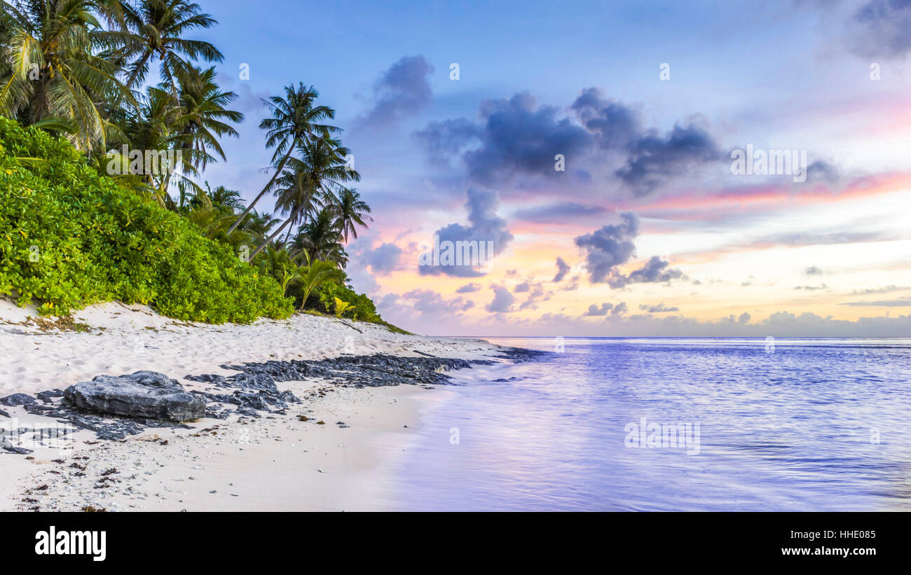 A isolated tropical warm beach Stock Photo - Alamy