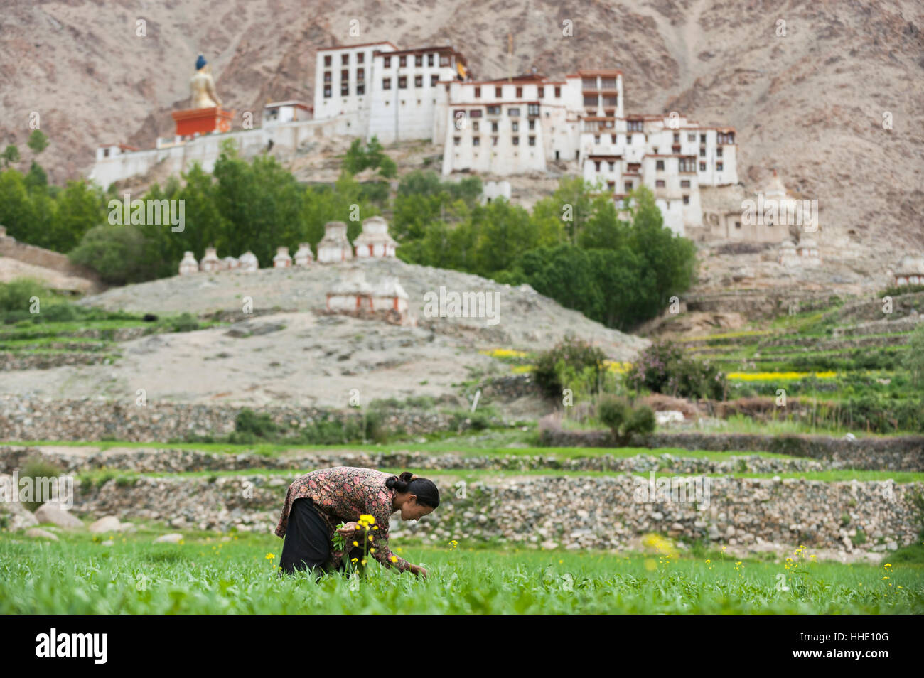 Remote region hi-res stock photography and images - Alamy