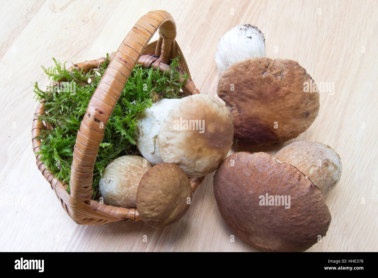 fruit, mushroom, fungus, sponge, yellow boletus, food, aliment, botany ...