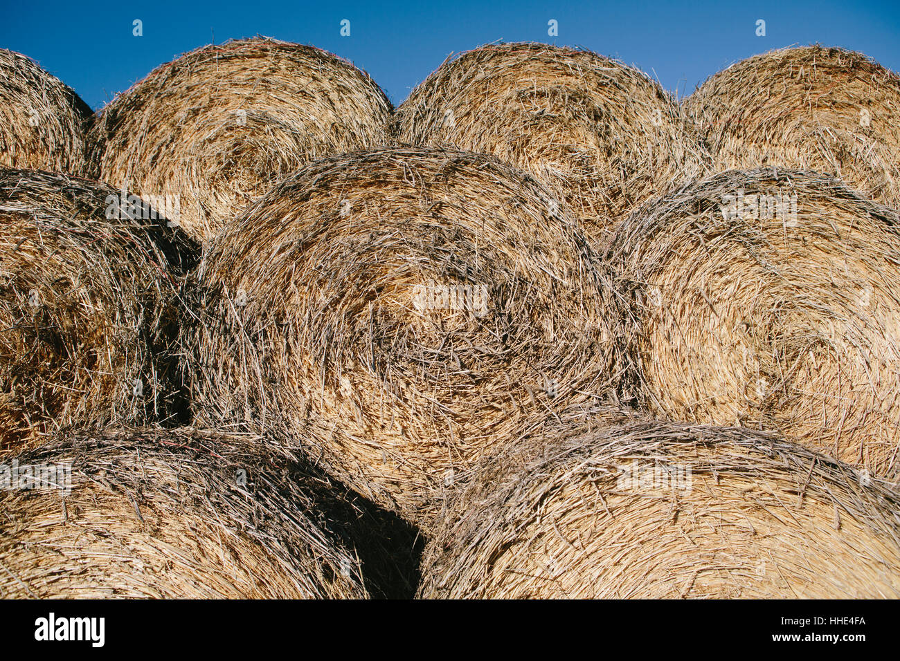 Stacked hay bales Stock Photo - Alamy