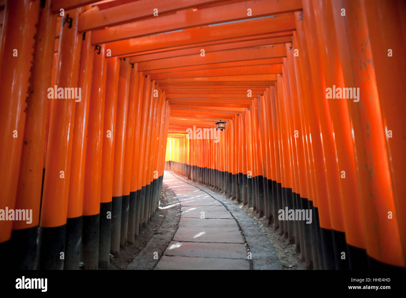 temple, future, tunnel, japan, shrine, walkway, path, way, trip ...