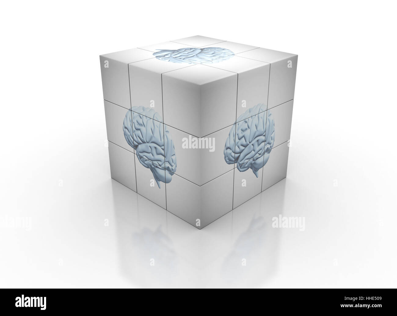 Model brain map hi-res stock photography and images - Alamy