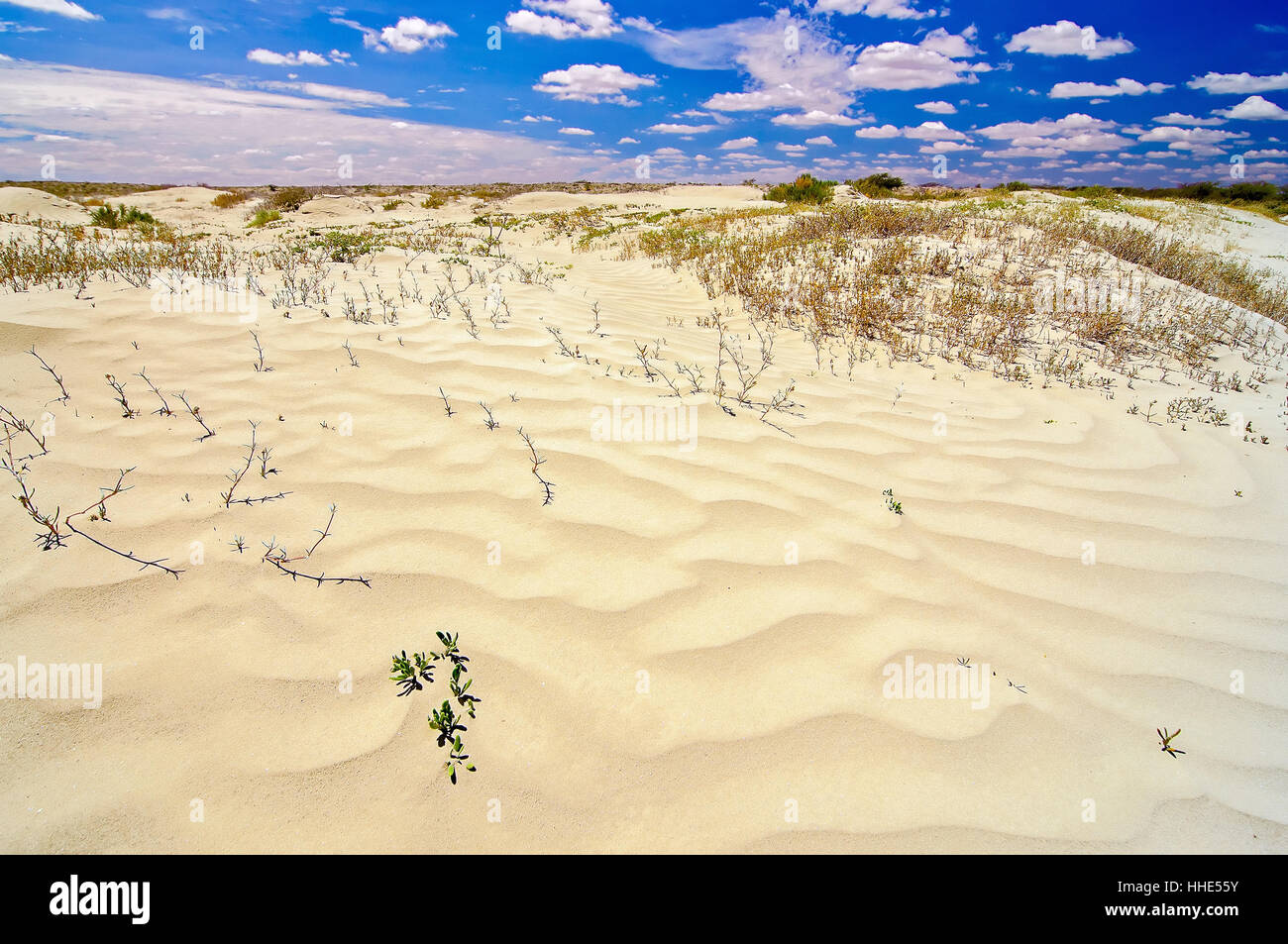 blue, hot, dry, dried up, barren, landscape, scenery, countryside ...