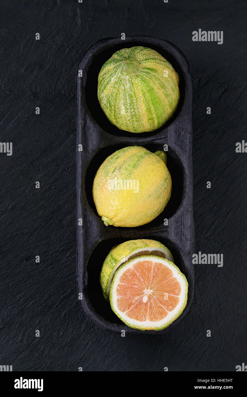 Citrus tiger hi-res stock photography and images - Alamy