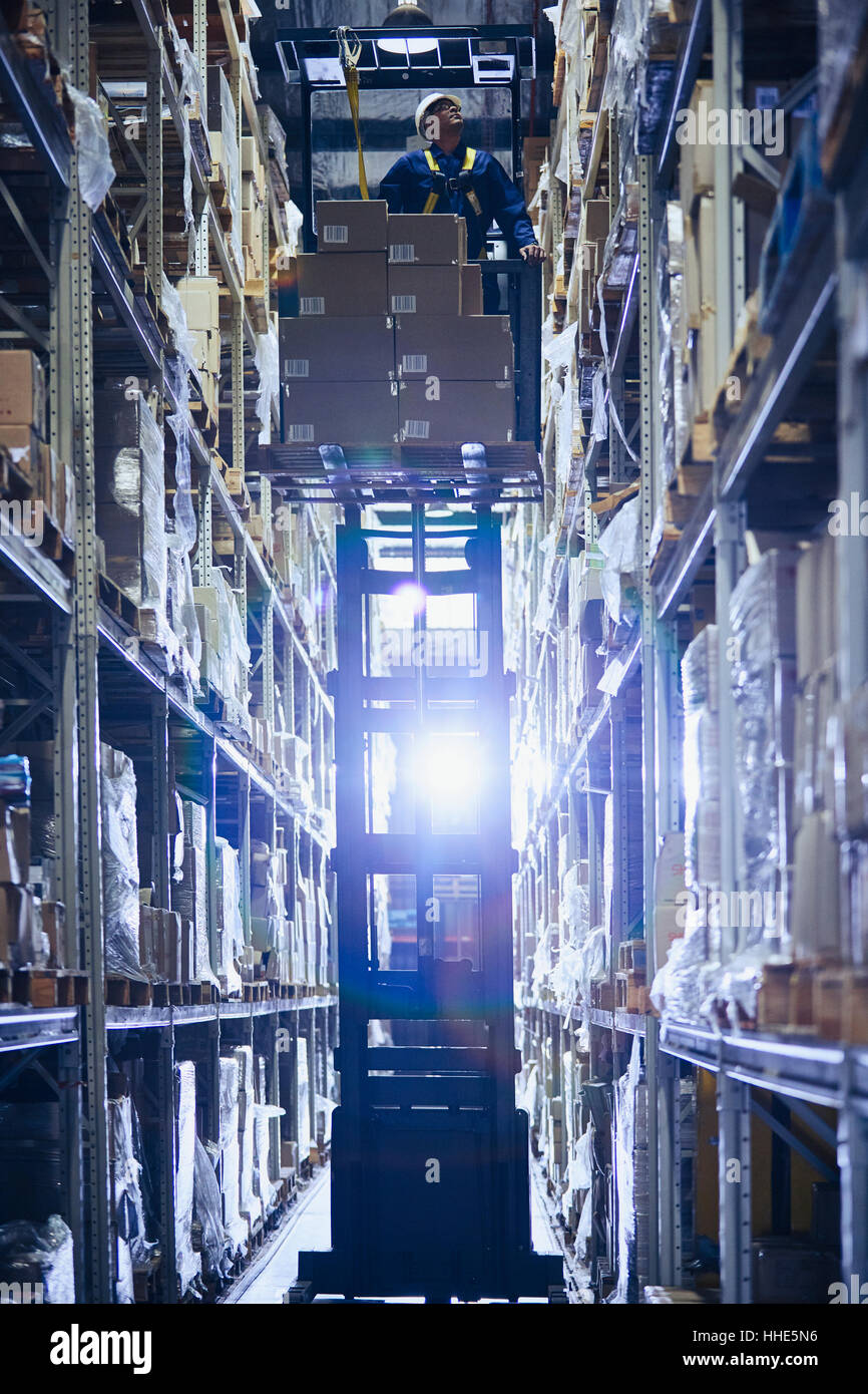 Worker operating forklift stacking cardboard boxes on distribution ...