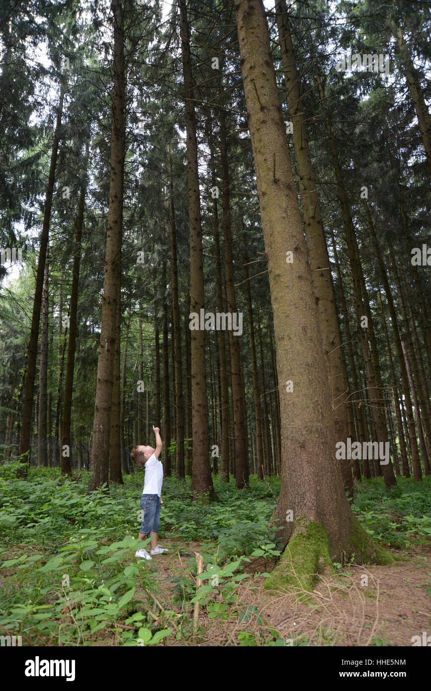 big, large, enormous, extreme, powerful, imposing, immense, relevant ...