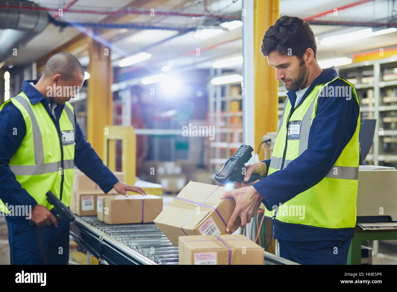 Workers scanning and processing boxes on conveyor belt in distribution ...
