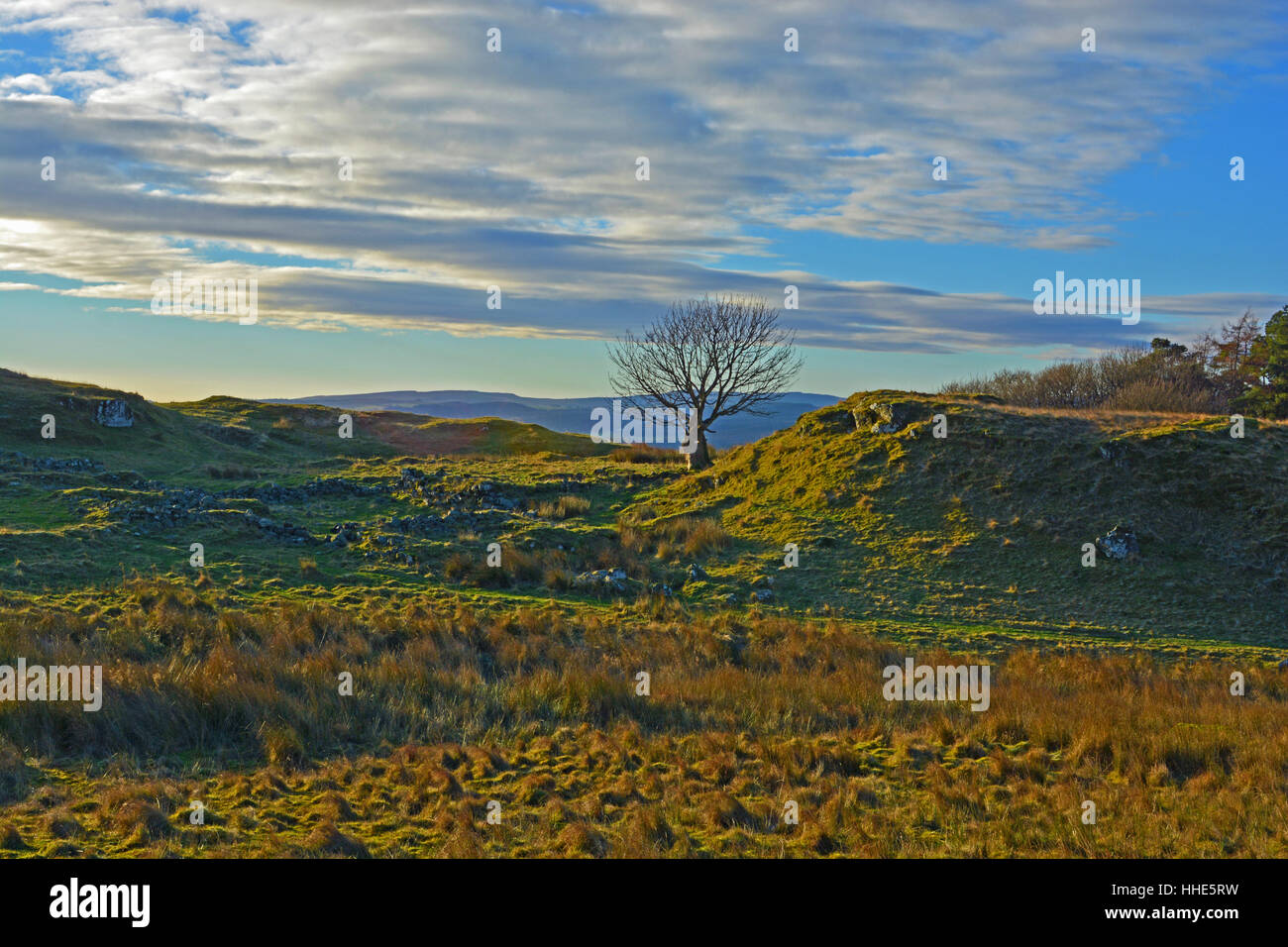 Dumyat hill hi-res stock photography and images - Alamy