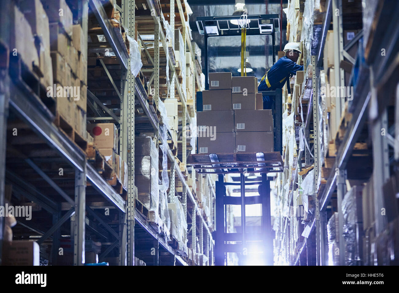 Worker operating forklift stacking cardboard boxes on distribution ...