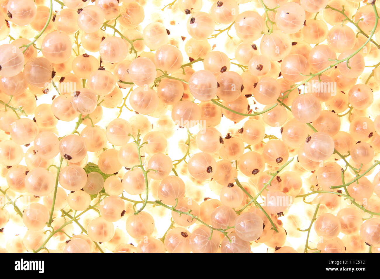 nibble, isolated, optional, colour, ripe, progenies, fruits, coloured ...