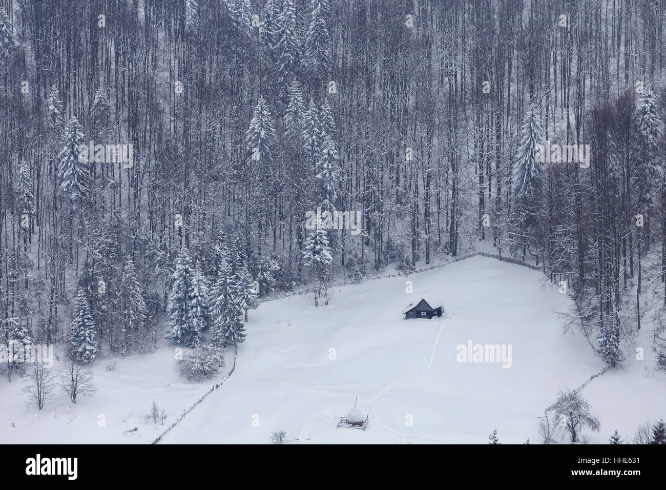 Forest edge house hi-res stock photography and images - Alamy