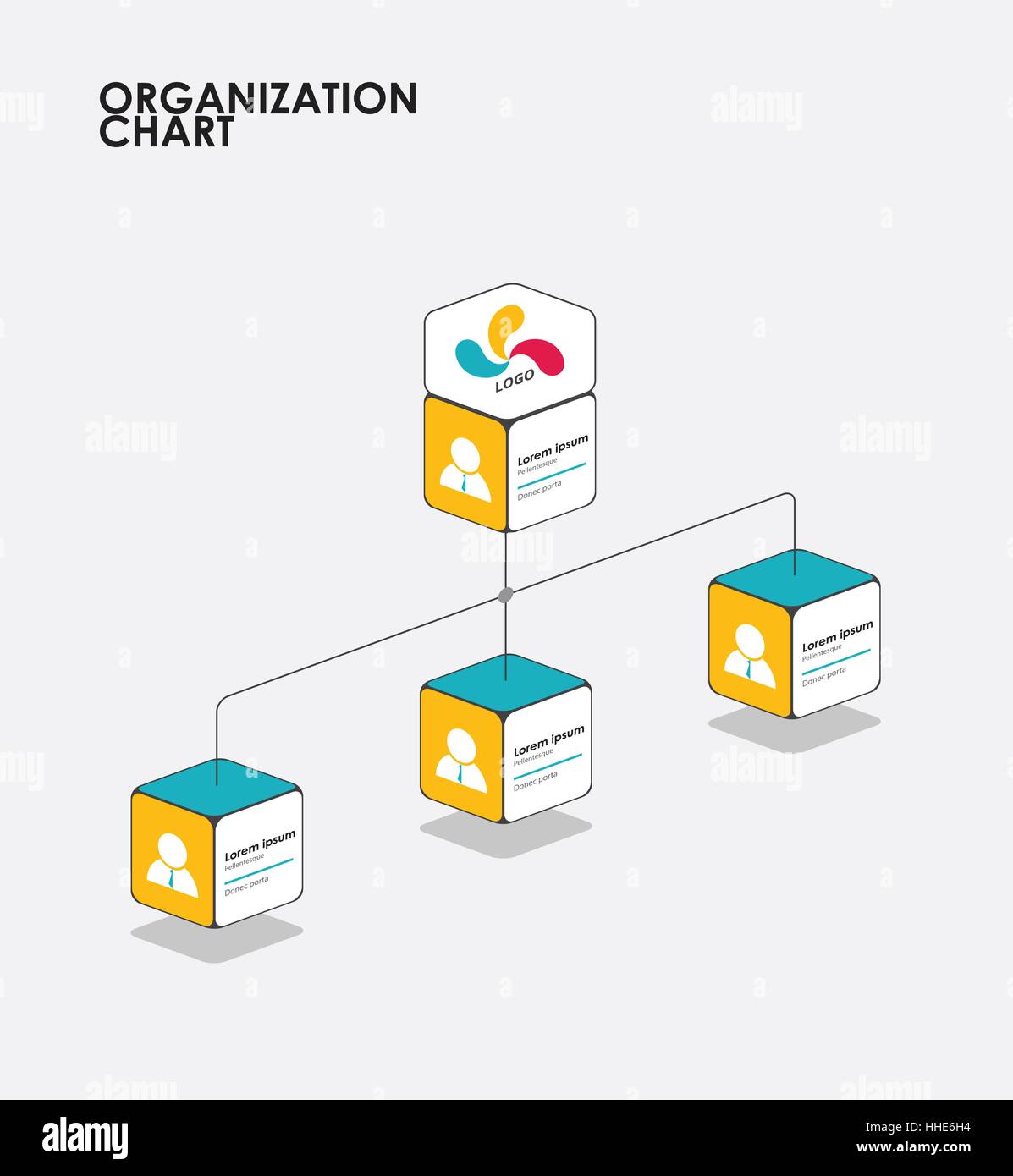 Tree Identification Flow Chart Easy