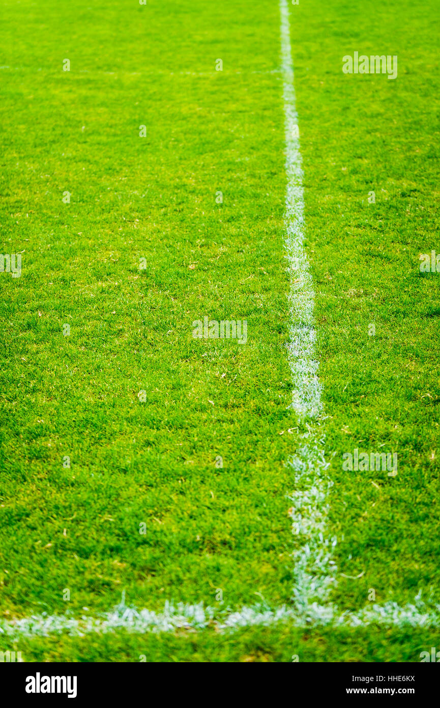 lines on a football field Stock Photo - Alamy