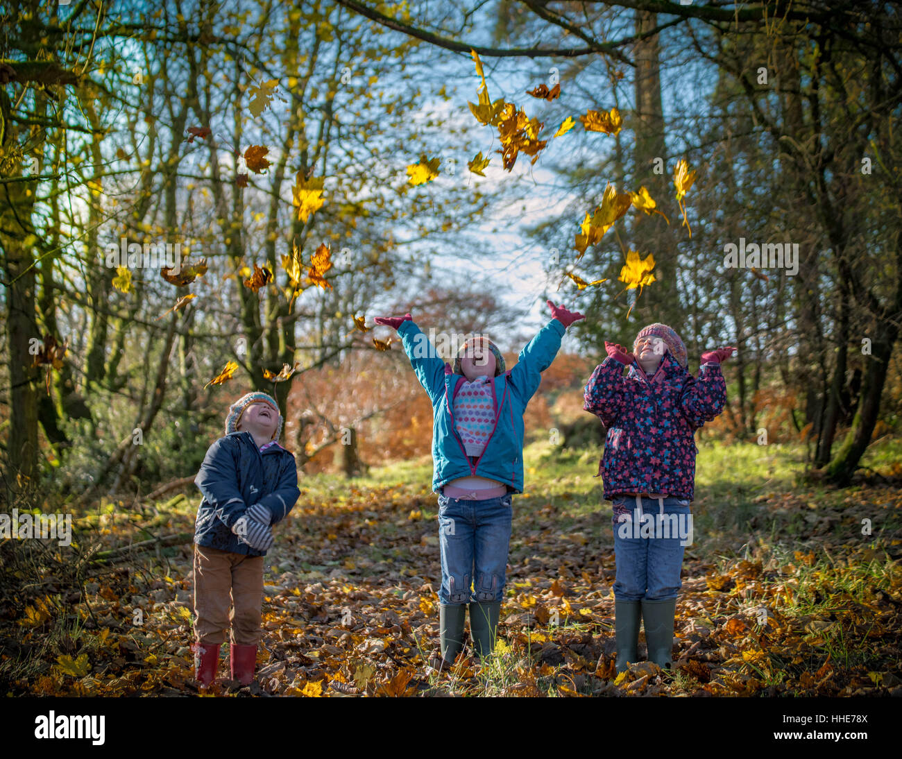 joy of children enjoying falling leaves in Autumn Stock Photo - Alamy