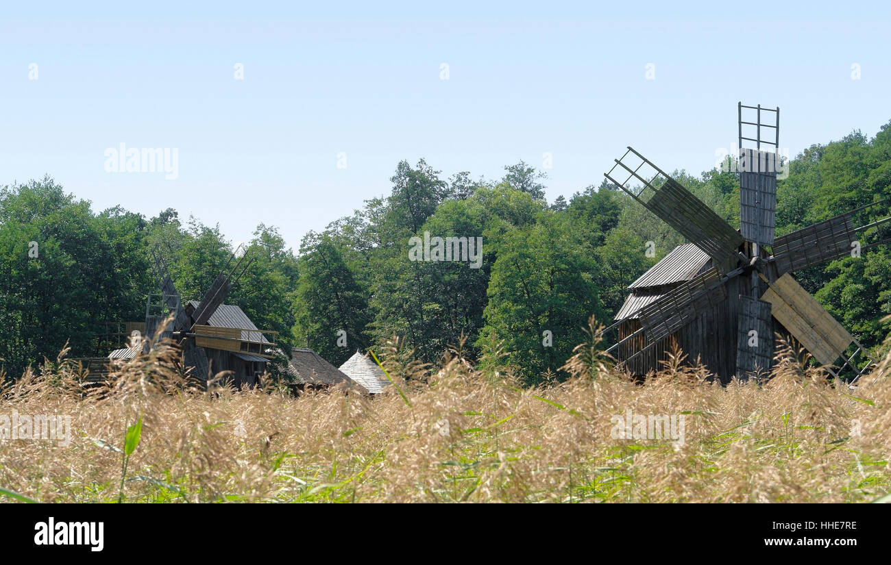 corridor, agrarian, historical, bucolic, tree, agriculture, farming ...