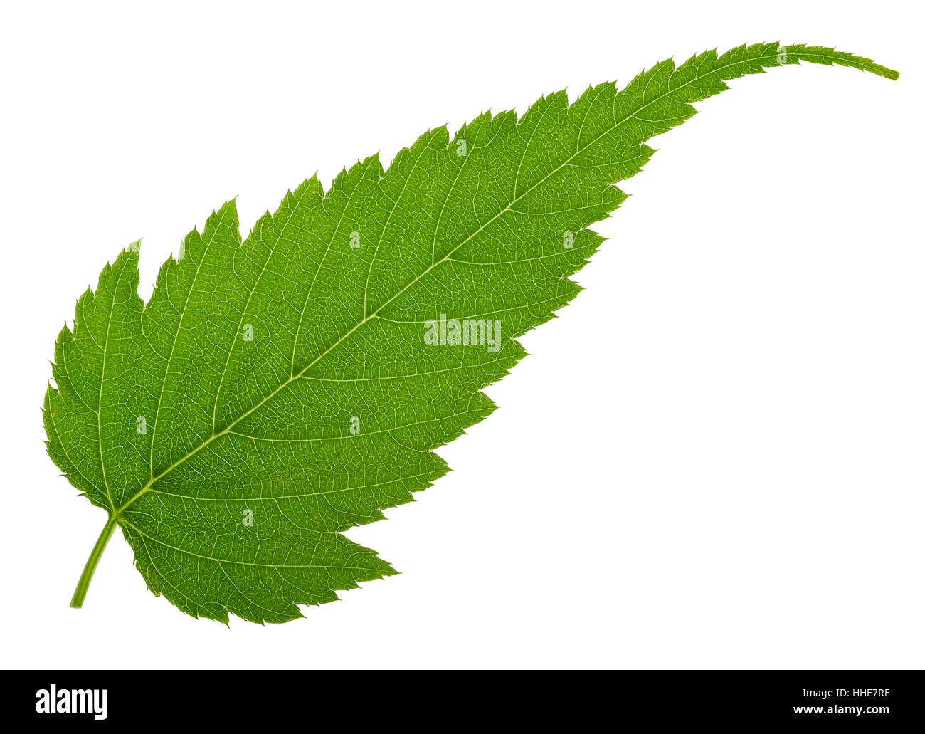 Jagged surface Cut Out Stock Images & Pictures - Alamy