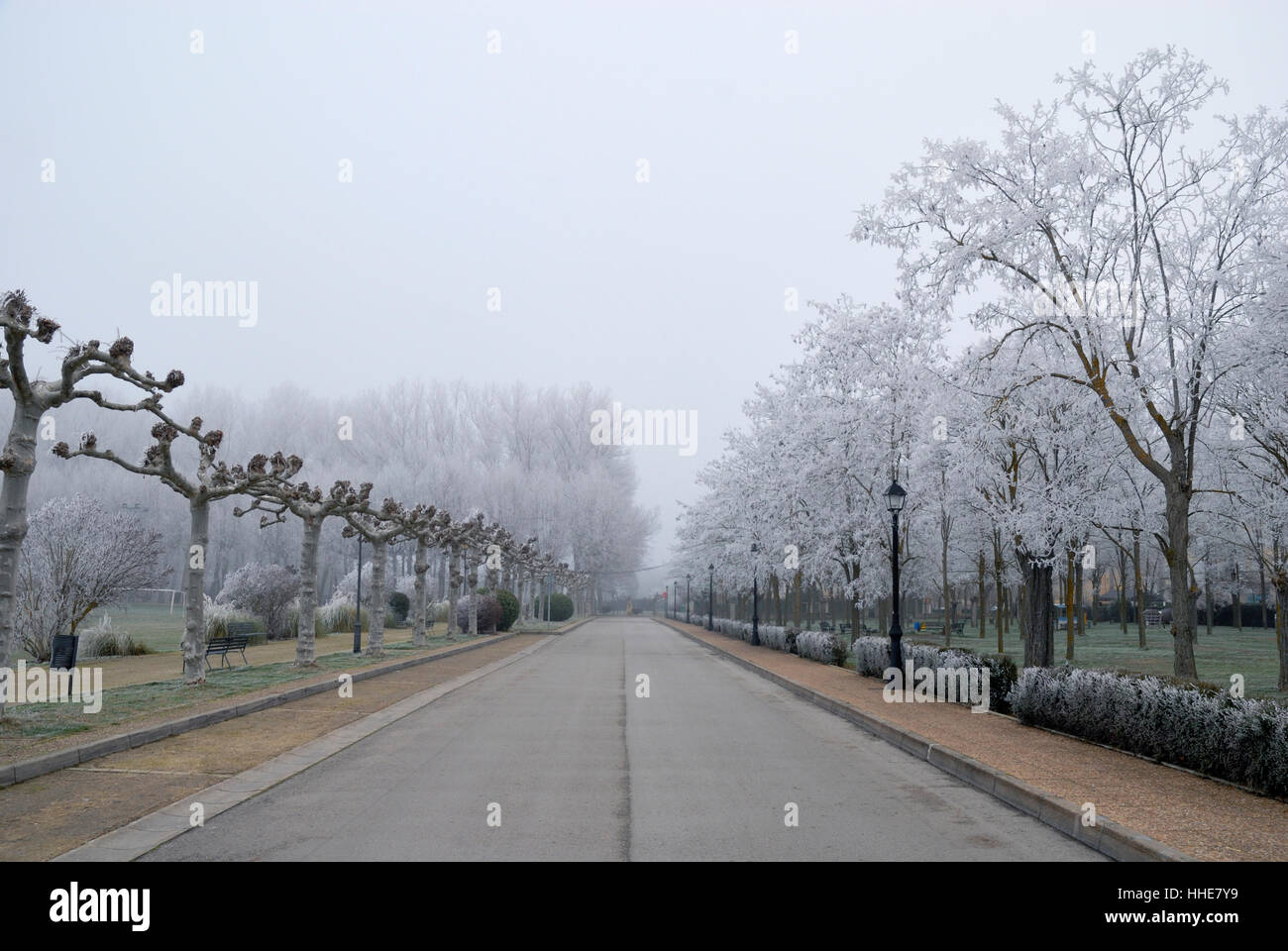 Leon frost hi-res stock photography and images - Alamy