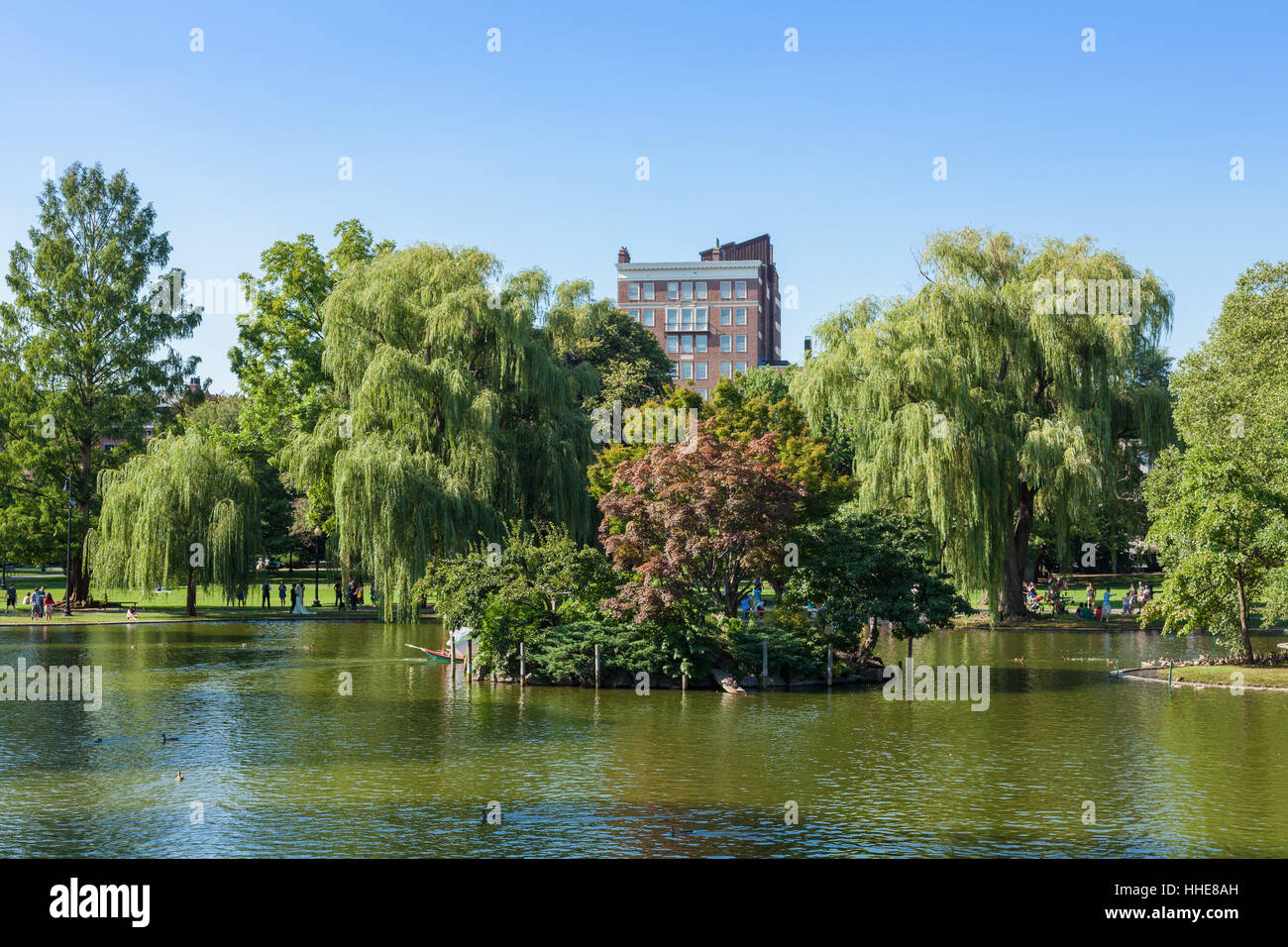 blue, walk, go, going, walking, travel, city, town, tree, trees, park ...