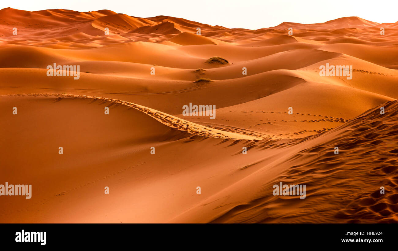 Hot desert landscape hi-res stock photography and images - Alamy