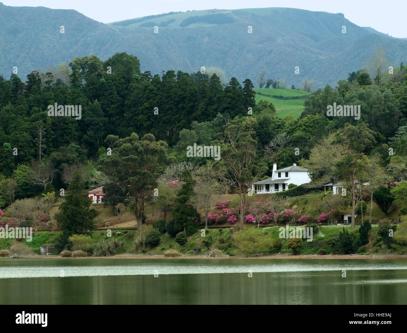 tree, hill, outside, shrub, portugal, coast, bush, idyllic, archipelago ...