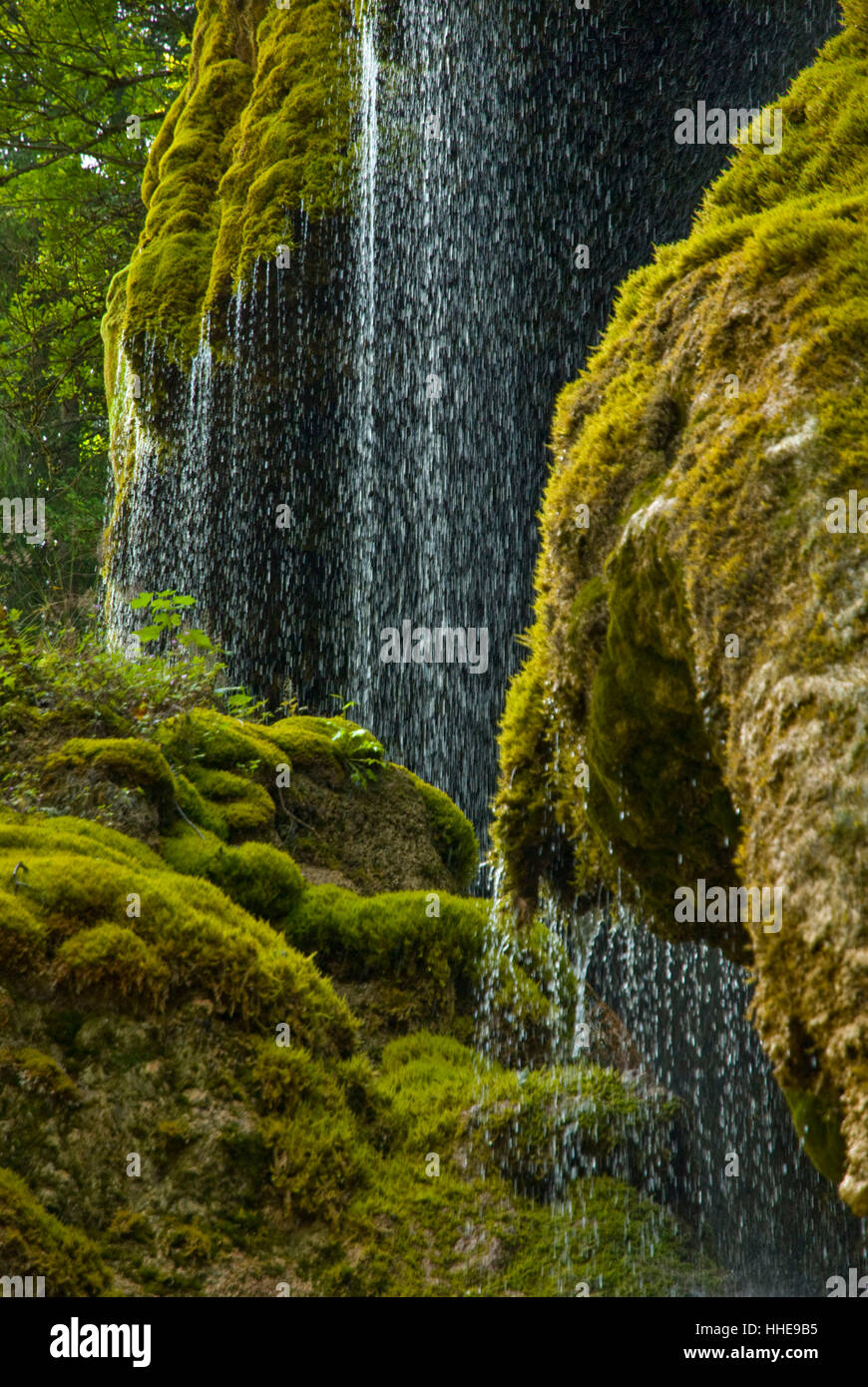 alps, waterfall, moss, water, alps, conservation of nature, rock ...