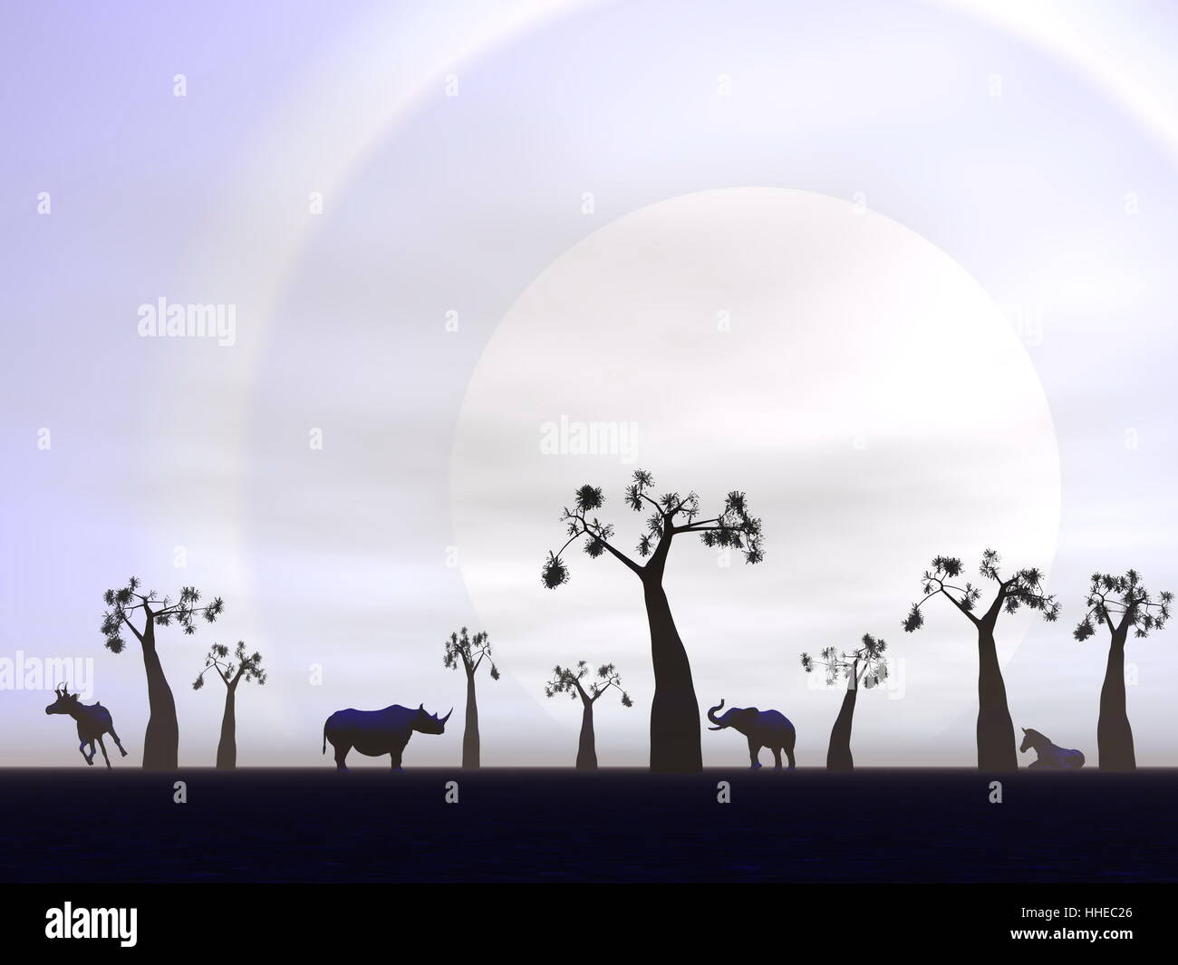 Shadows of animals in the savannah next to baobabs by hard sunset Stock ...