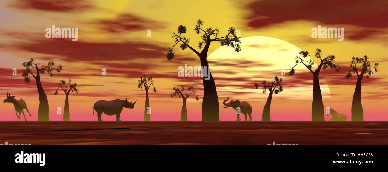 Shadows of animals in the savannah next to baobabs by sunset Stock ...