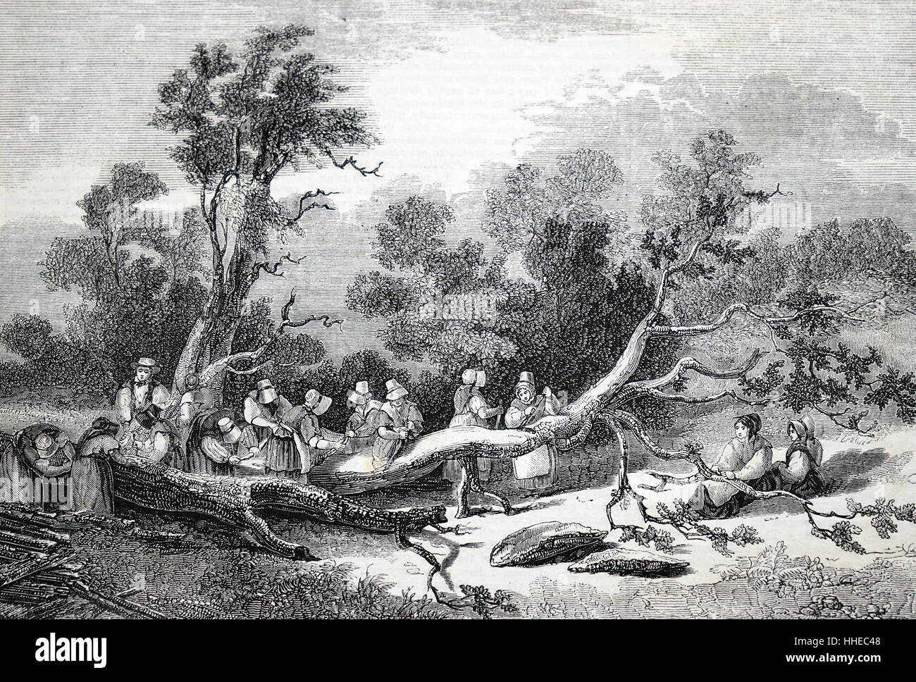 Ferrous copperas hi-res stock photography and images - Alamy