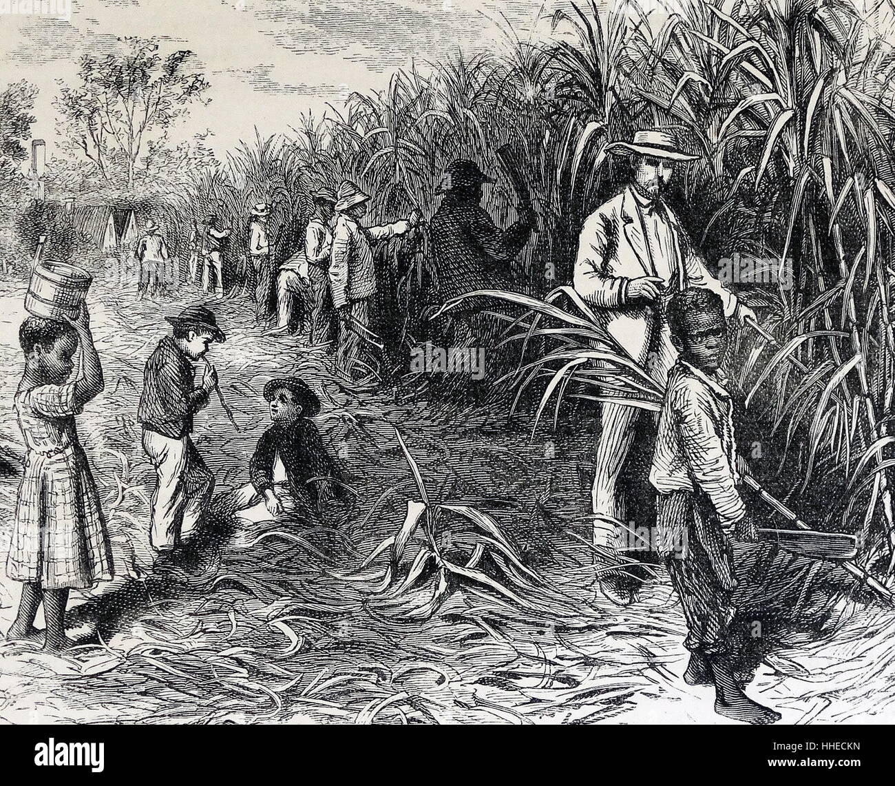 Archival sugar industry hi-res stock photography and images - Alamy