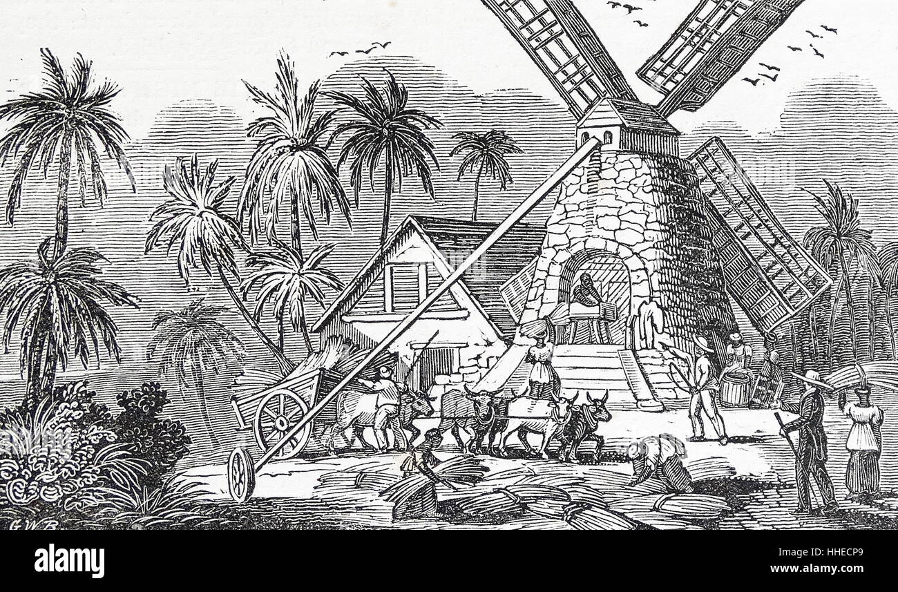 West indies slaves hi-res stock photography and images - Alamy