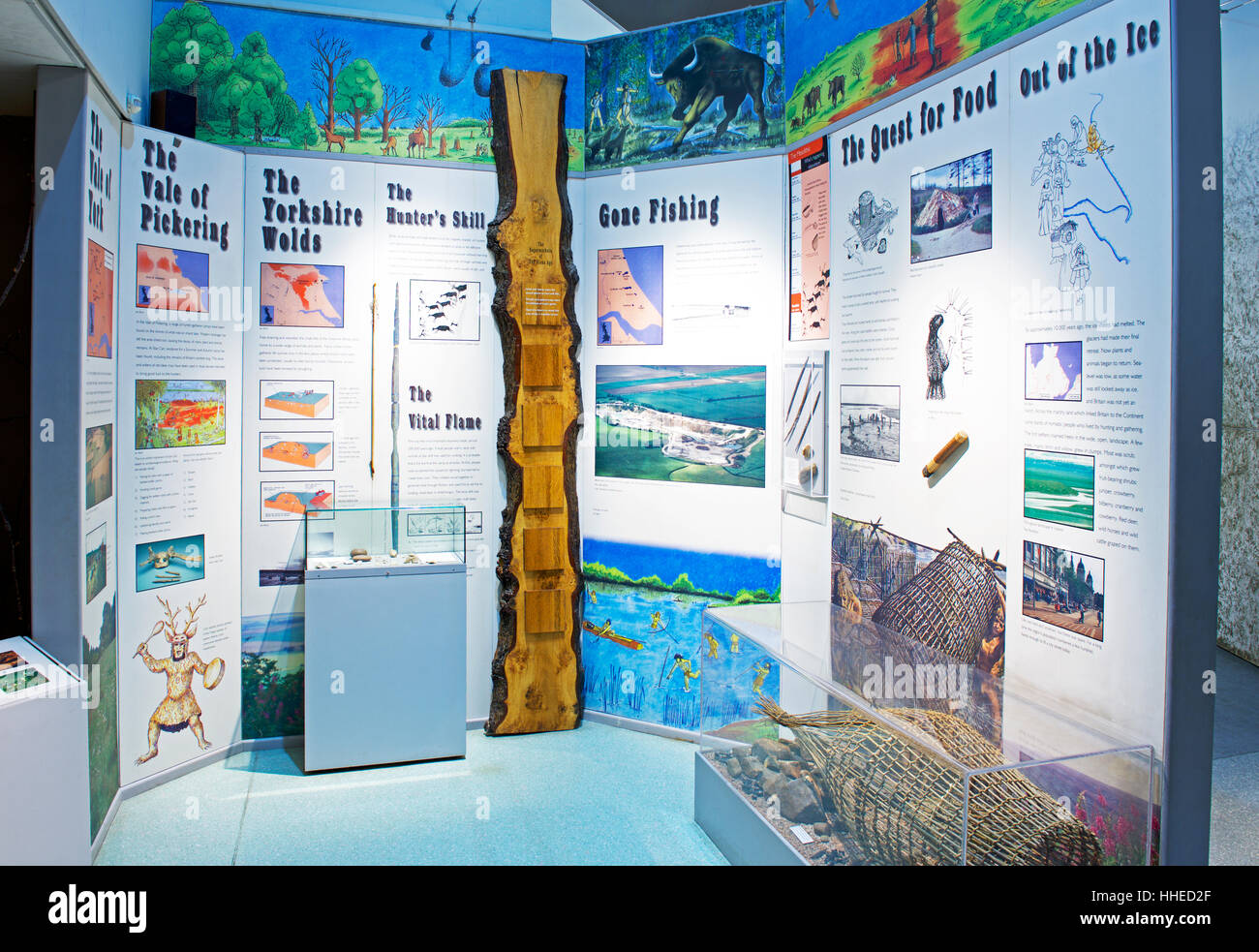 Hull and east riding museum hi-res stock photography and images - Alamy