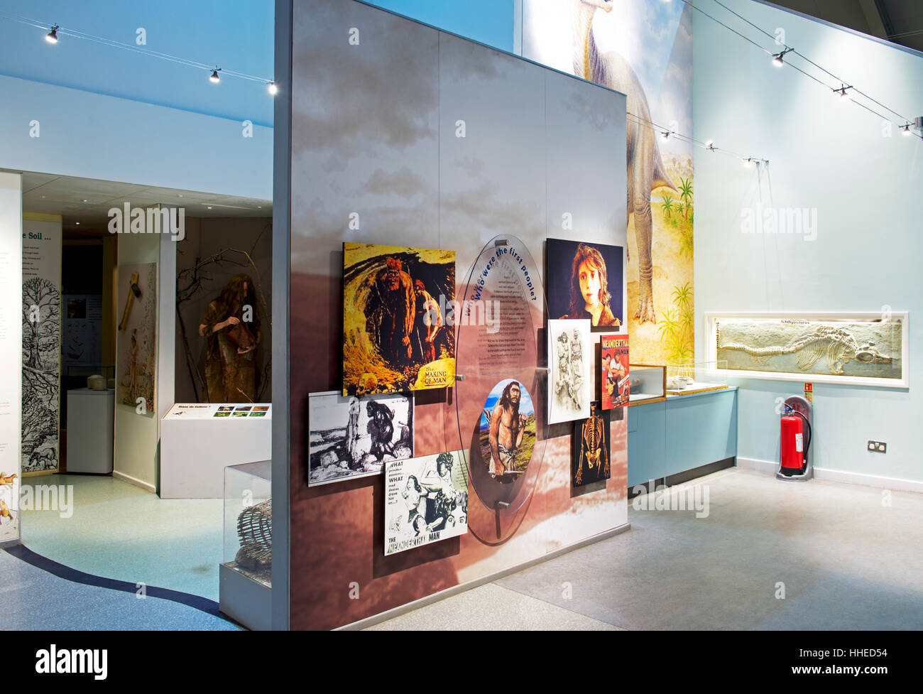 Inside hull east riding museum hi-res stock photography and images - Alamy