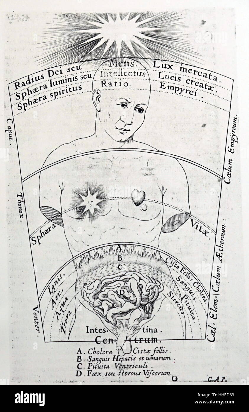 The relationship between Man and the Upper Heavens. From Robert Fludd ...