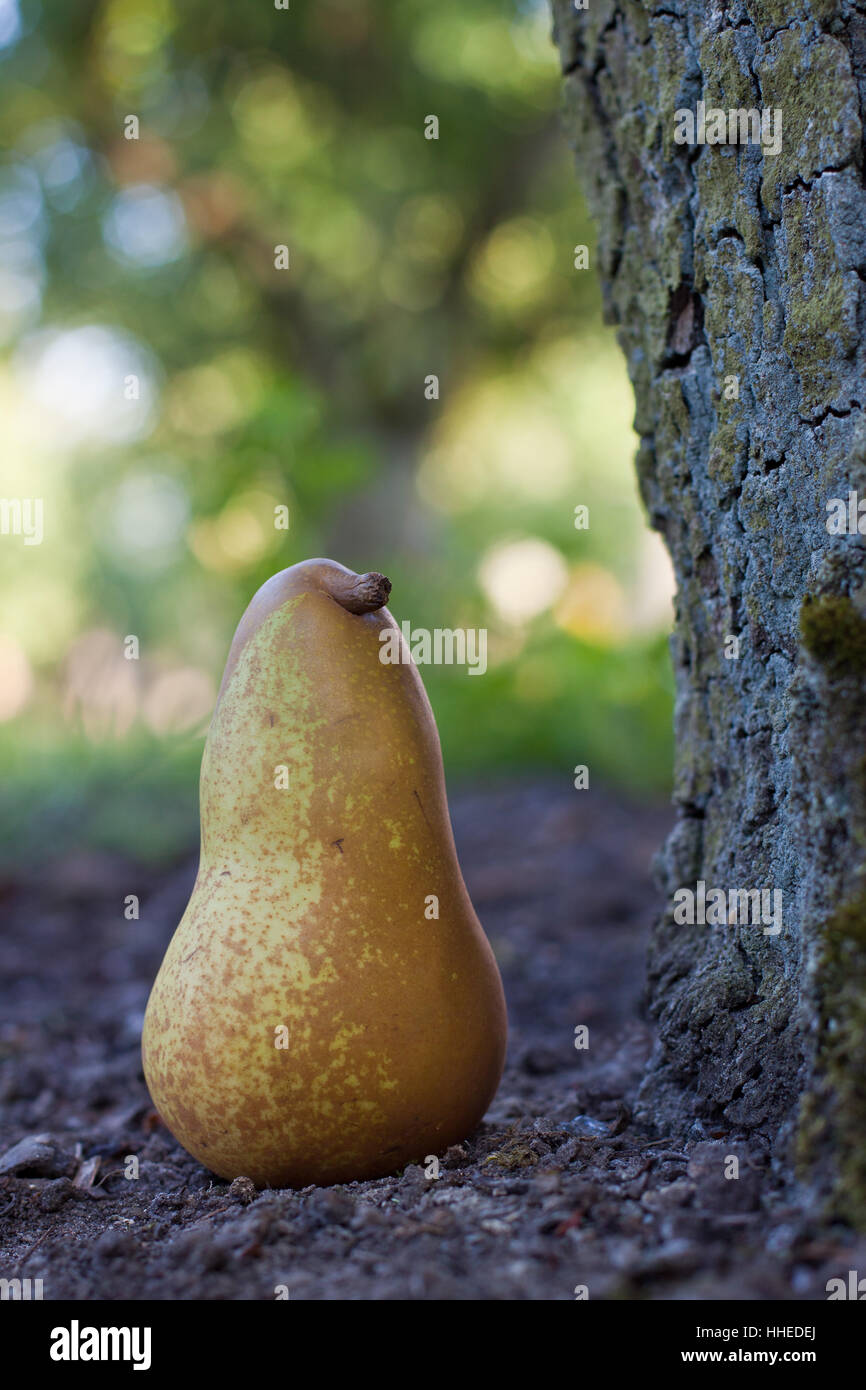 green, counter-light, fruit, pear, bulb, globe, planet, earth, world ...