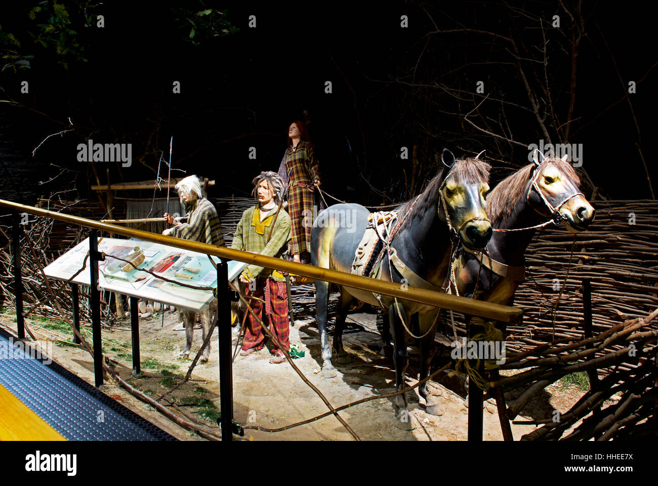Inside Hull East Riding Museum High Resolution Stock Photography and ...