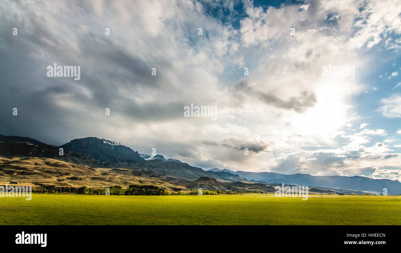 A plain terrain with lots of grass Stock Photo - Alamy