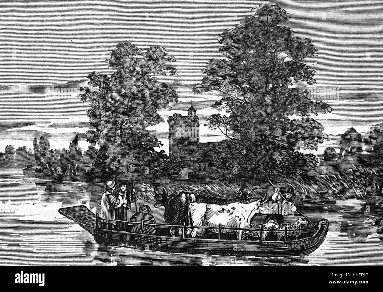 Cattle across Black and White Stock Photos & Images - Alamy