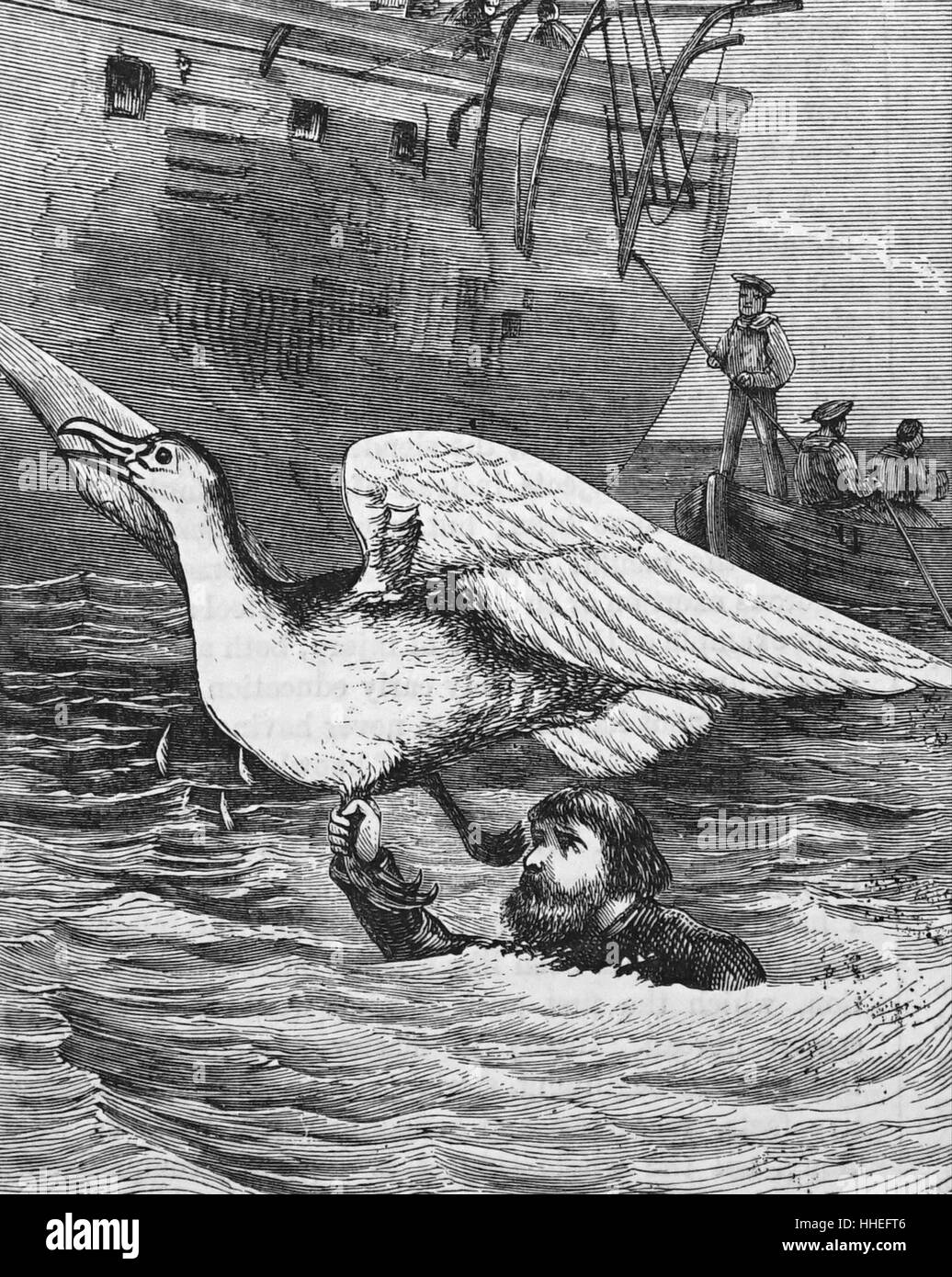 Grabbing the bird Black and White Stock Photos & Images - Alamy