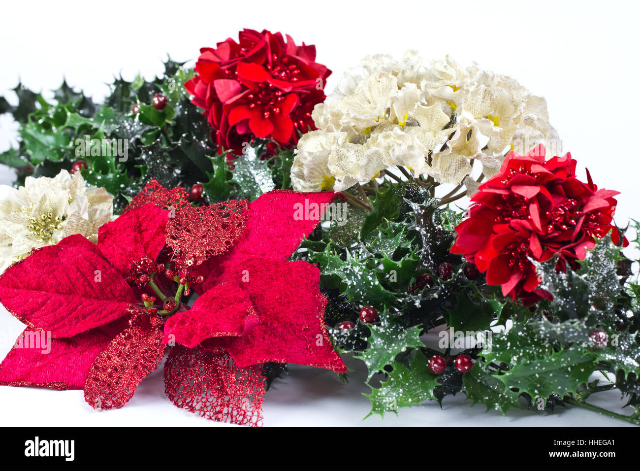 holiday, winter, flower, plant, bloom, blossom, flourish, flourishing ...