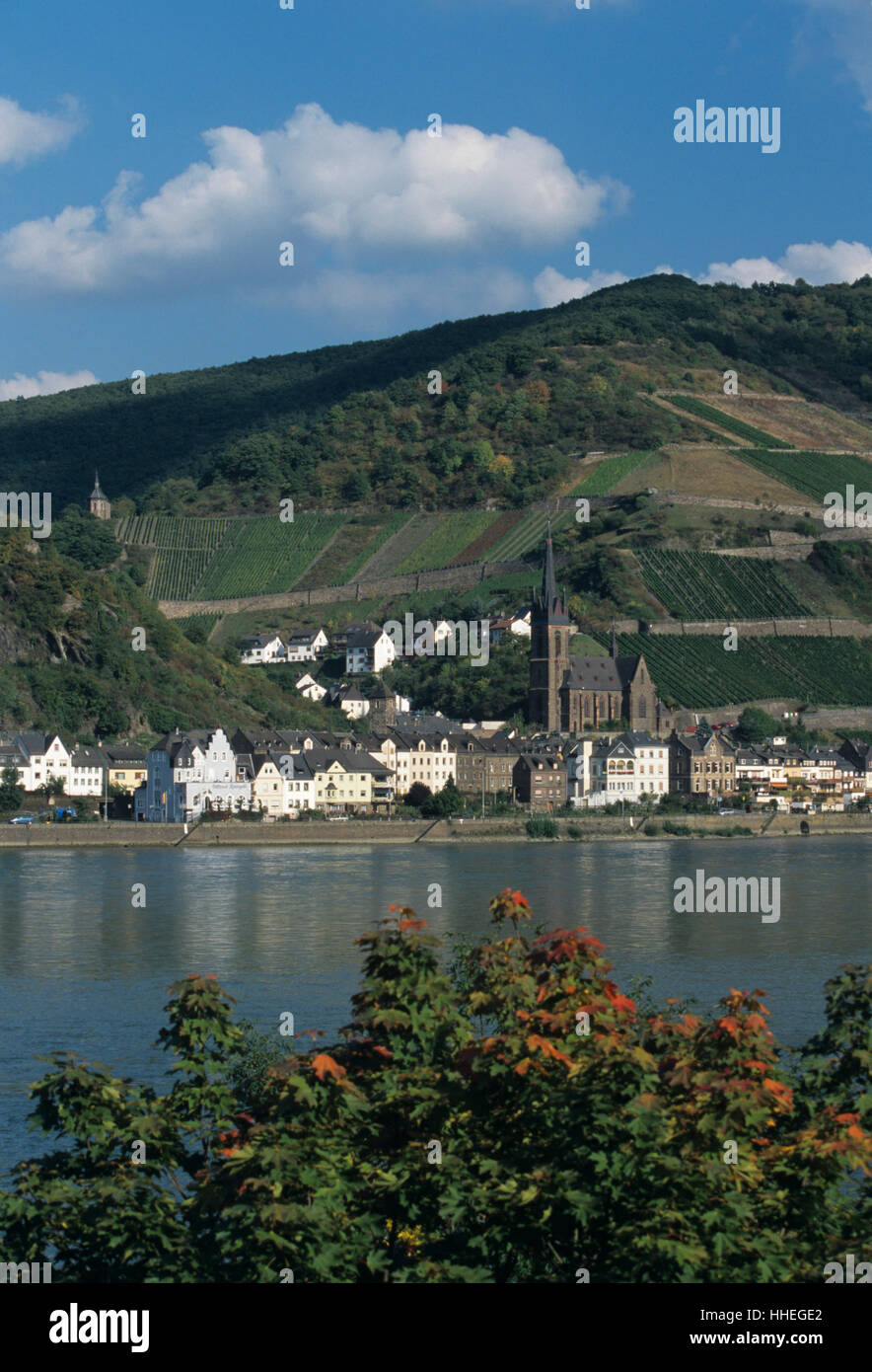 River rhine wine regions hi-res stock photography and images - Alamy
