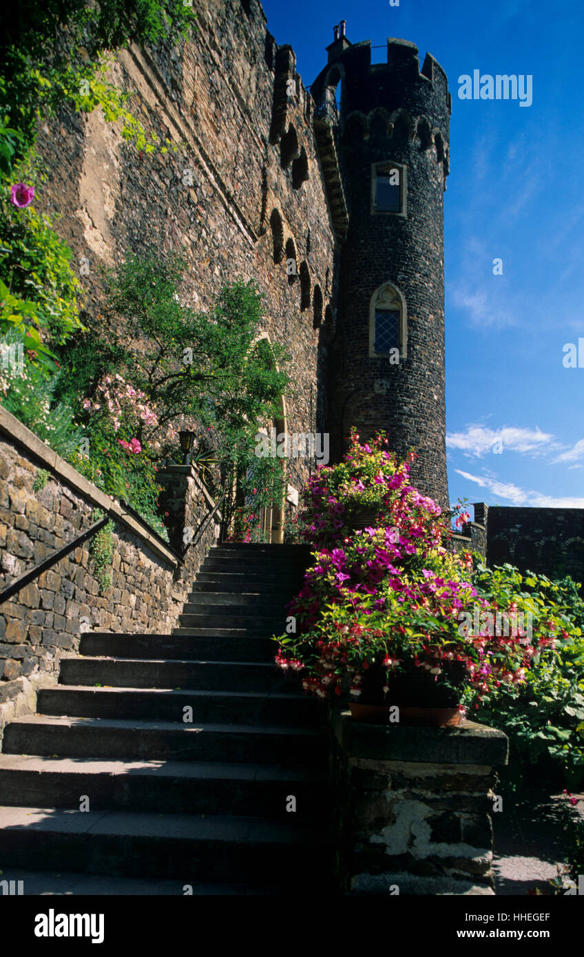 Rhine valley castle germany hi-res stock photography and images - Alamy