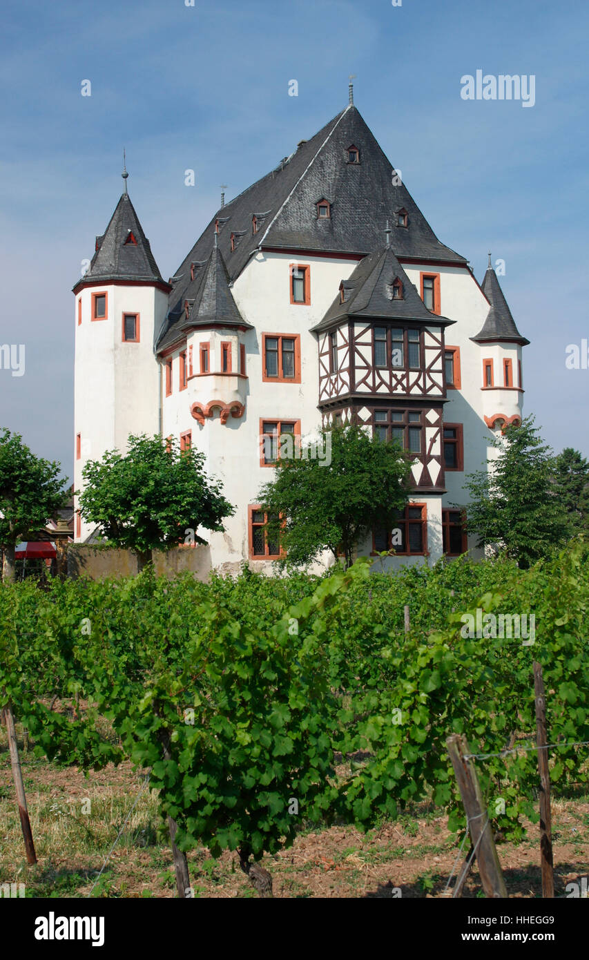 Schoenborn castle, Geisenheim, Rheingau Region, Hesse, Germany Stock ...