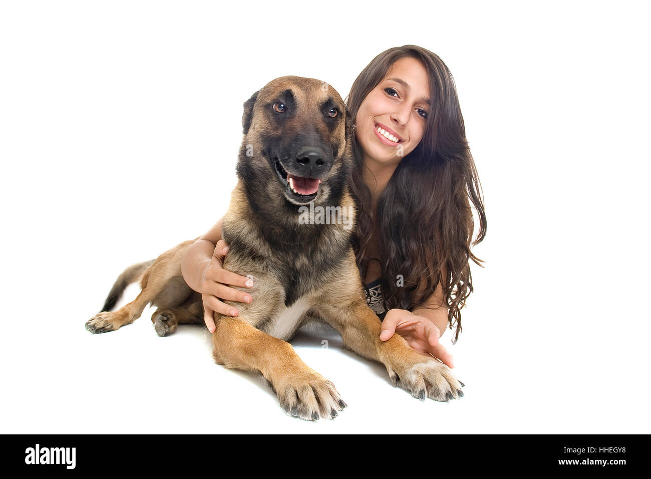 purebred belgian sheepdog malinois with young girl on a white background Stock Photo - Alamy